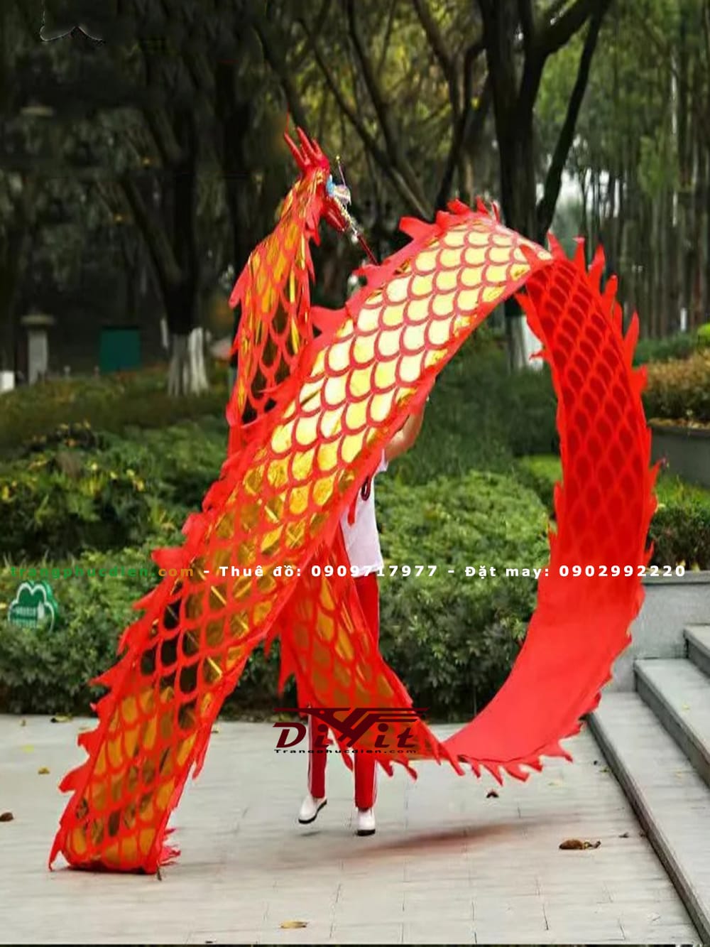 Đầu rồng đuôi lụa (ruy băng) - Trang phục biểu diễn DiVit